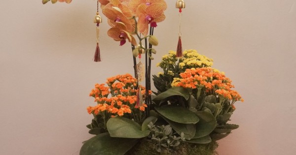 She Nian Da Ji - CNY Flowers