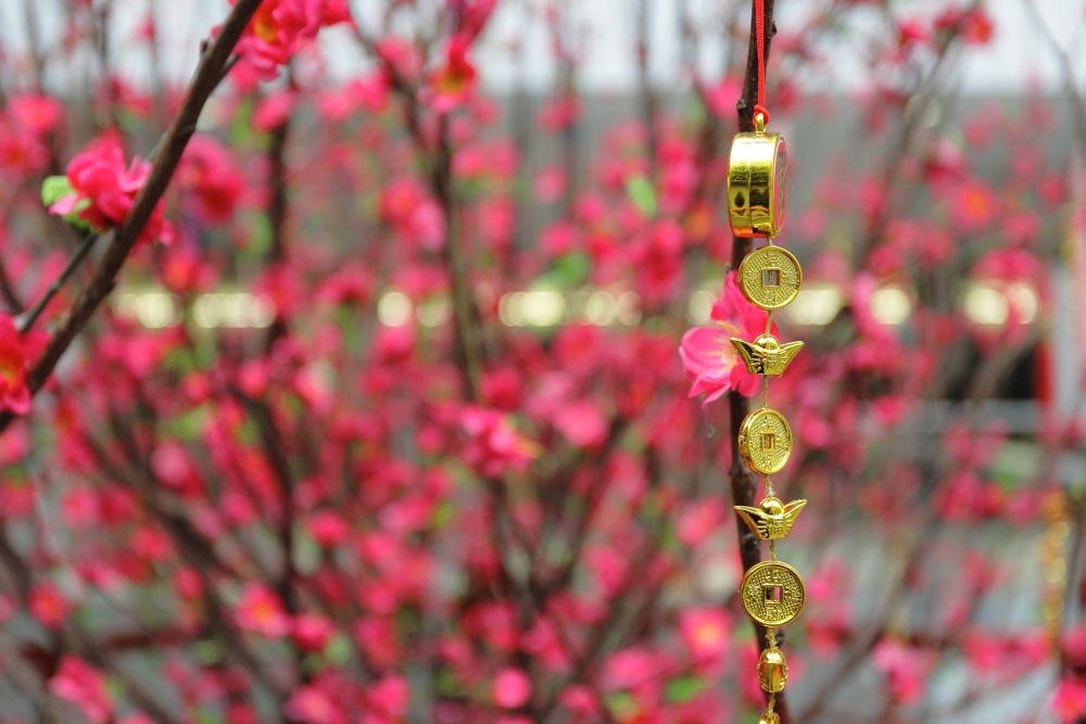 3 Lucky Flowers for Good Fortune this Chinese New Year