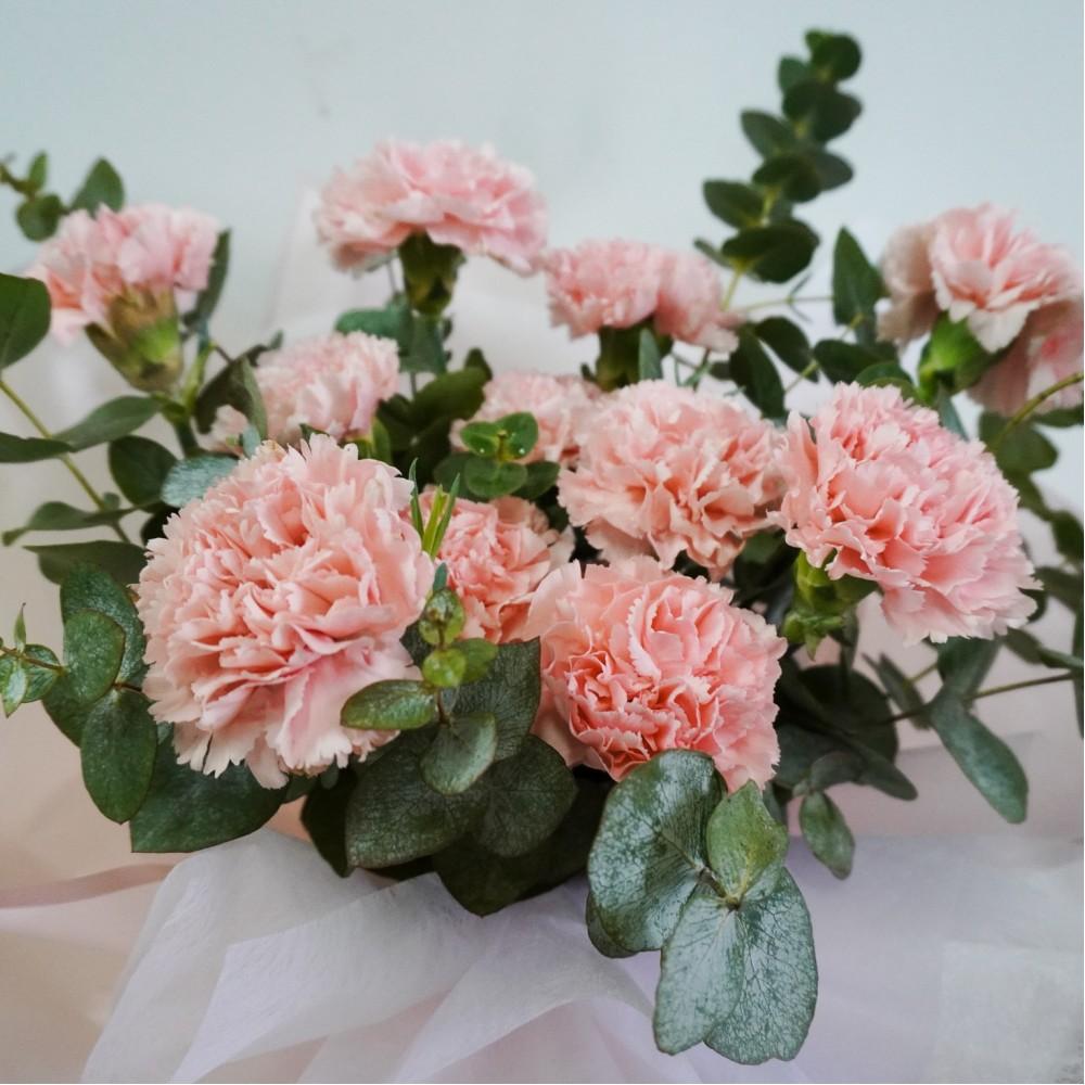 4 Facts That Every Carnation Lover Should Know