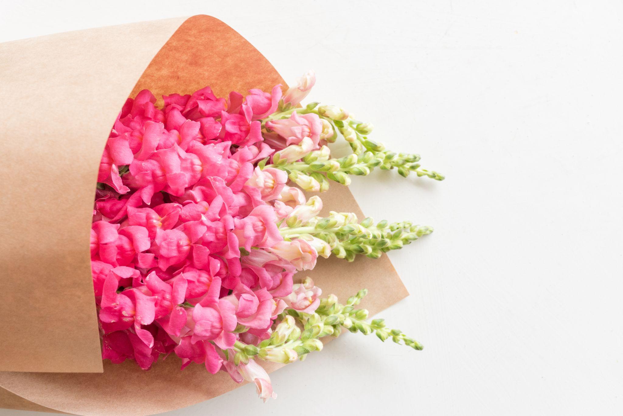 10 Types of Pink Flowers for the Birthday Girl Who's Obsessed With Pink